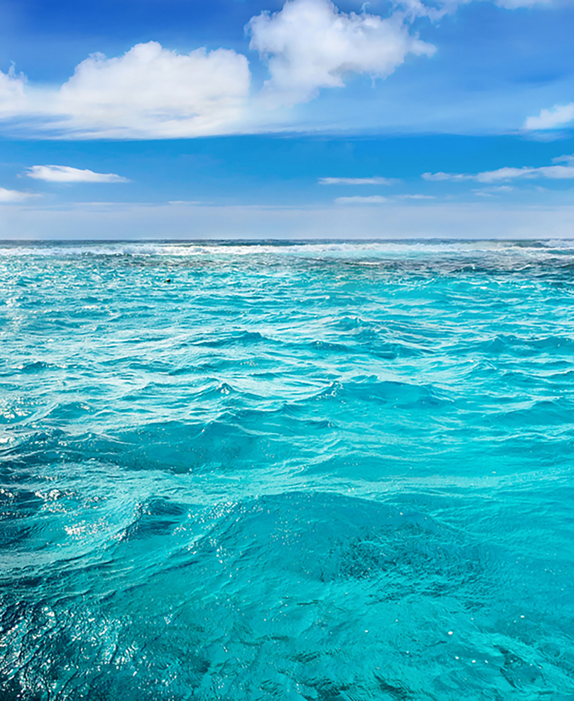 Baltic Beach Hotel & SPA | 5* Luxury Hotel by the Baltic Sea coast